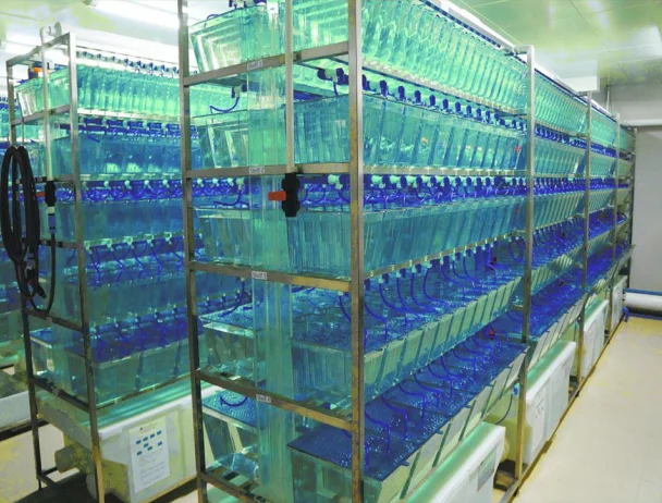 LAQ-4 Lab Zebrafish Rack - Sustainable & Versatile Solutions