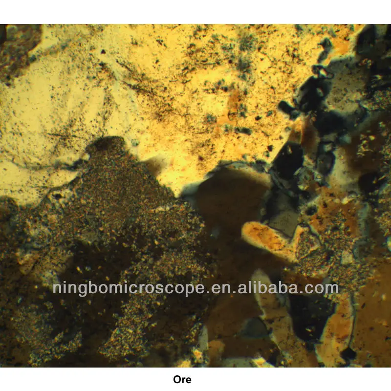 40x-600x Geological Application Polarizing Microscope - Buy Polarizing ...
