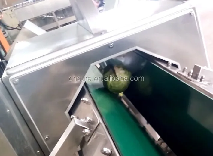Cabbage Apple Orange Tomato Potato Half Cutting Machine - Buy Cabbage ...