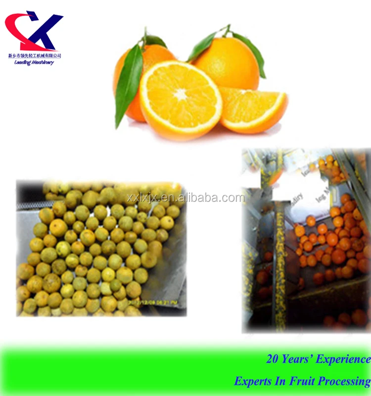 High Quality Automatic Fruit Orange Oil Extracting Machinery,Oil ...