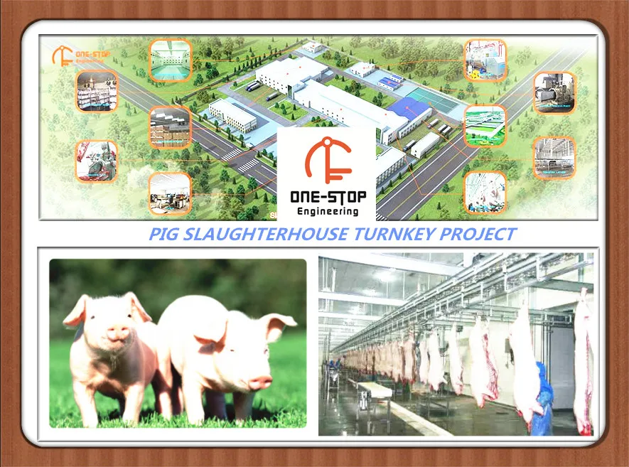 Pig Abattoir Plant - Efficient Swine Meat Processing