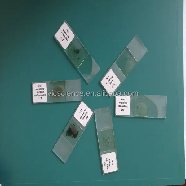 Microscope Prepared Slides Geology Study Rock Thin Section Slides - Buy ...