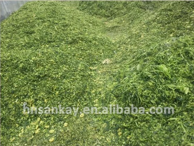 Small Napier Grass Forage Harvester for Sale - Easy to Operate