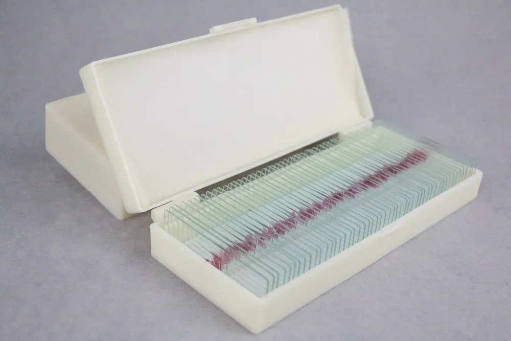 Laboratory Glassware Teaching Microscope Slides Microslides Biology ...