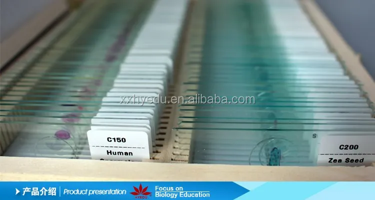 Insects Botany Zoology And Histology Mixed 100 Kinds Histological Slice ...