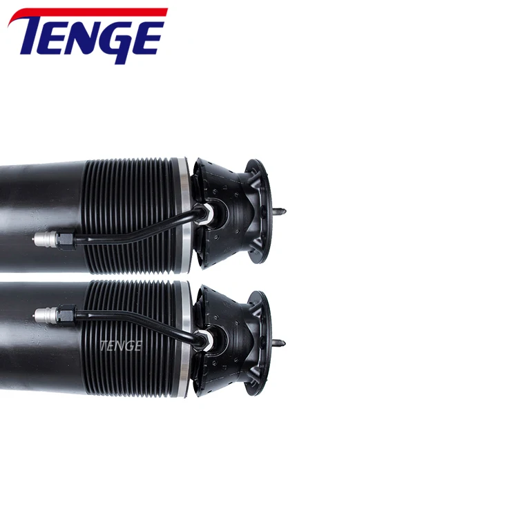 Hot Sales Abc Strut For Mercedes W220 W215 Rear Hydraulic Shock ...