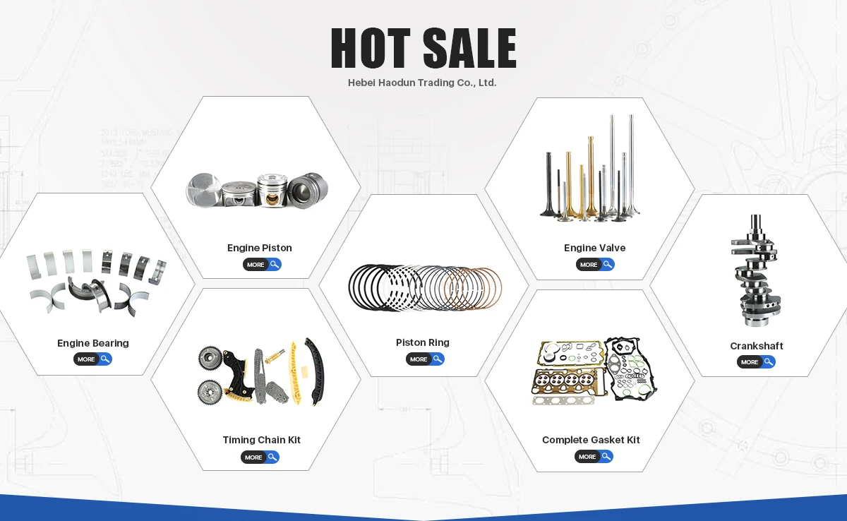 Hebei Haodun Auto Parts Sales Co., Ltd. - Engine Valve, Engine Piston