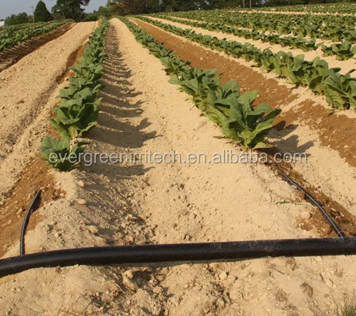 Irrigation Drip Line With Pressure Compensating Emitter - Buy Drip ...