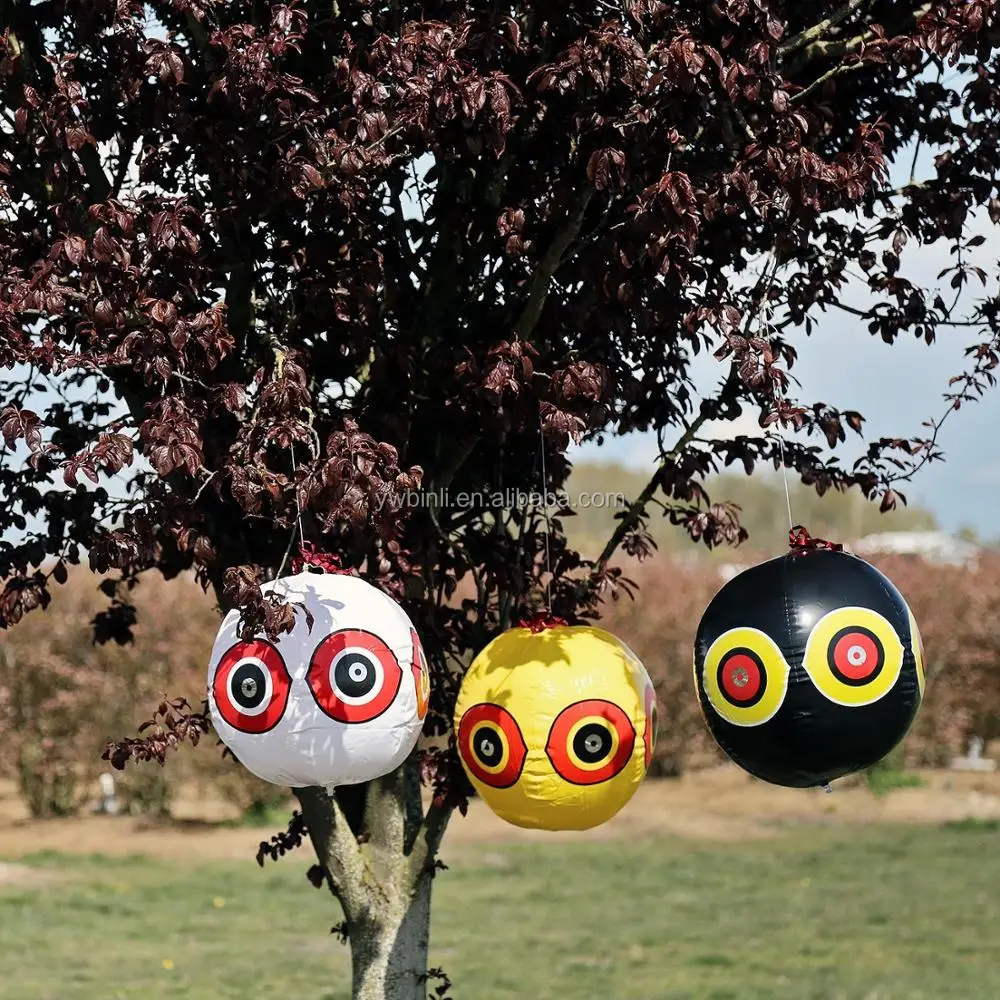 Hot Sale Inflatable Eye Ball For Scaring Bird Owl-eye Bird Scare Eye ...