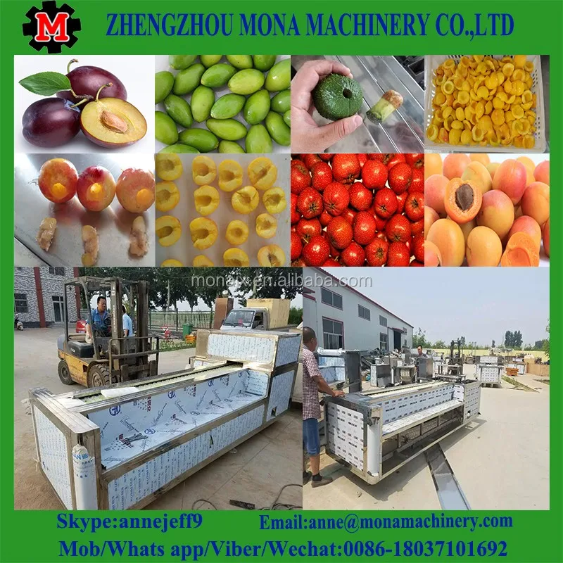 Automatic Fresh/dried/olive/cherry /plum Seeds Removing Machine / Fruit ...