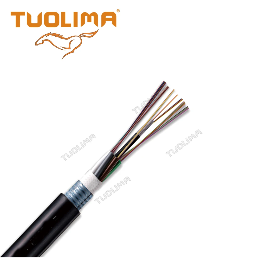 Ftth Indoor Type Fiber Optical Drop Wire 1 2 4 6 8 Core G657a G652d ...