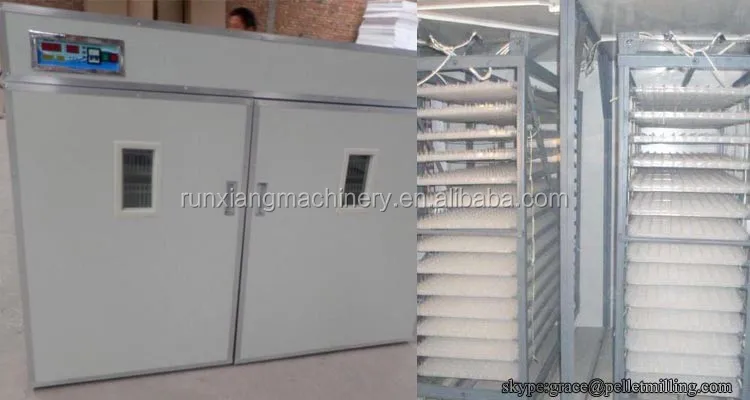 Microcomputer Full-Automatic Hatcher - Efficient Incubation