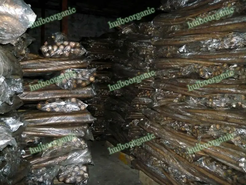 Dried Burdock Root Slices/ Burdock Root Tea / Burdock Granule| Alibaba.com