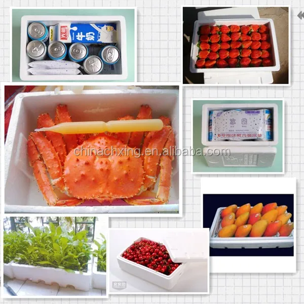 Customized Polystyrene Foam Containers - Insulation & Transport