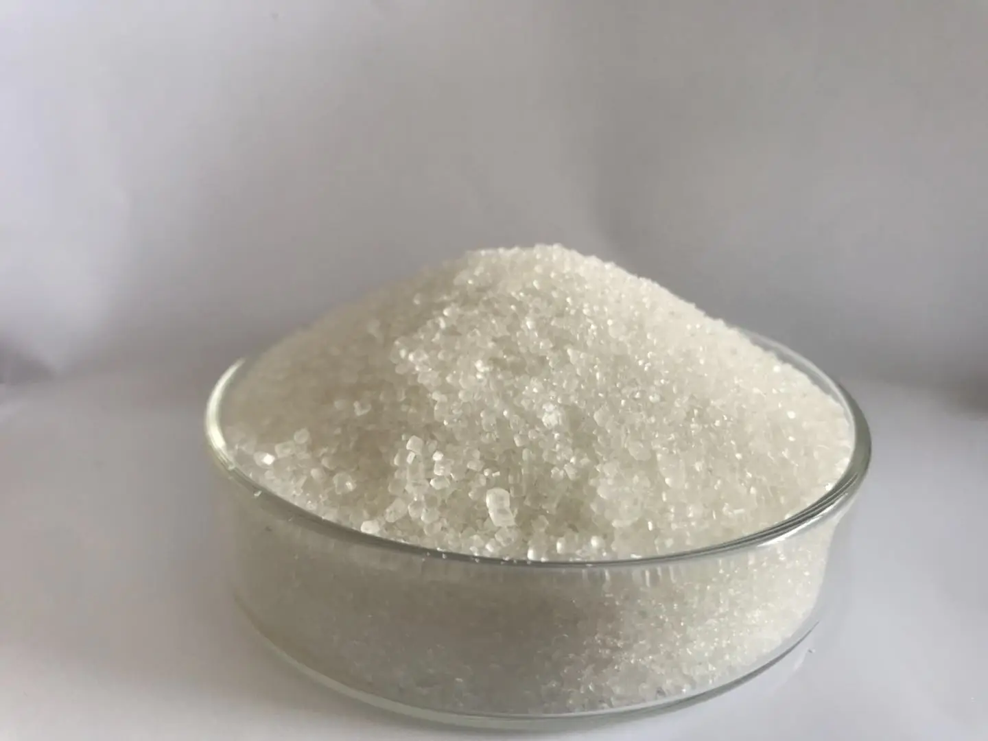 Albumen Powder