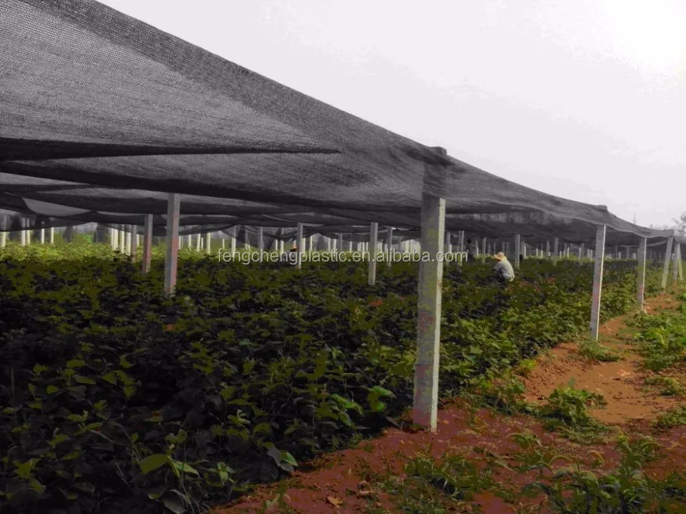 Agriculture Nursery Shade Net - Durable HDPE Plastic Mesh