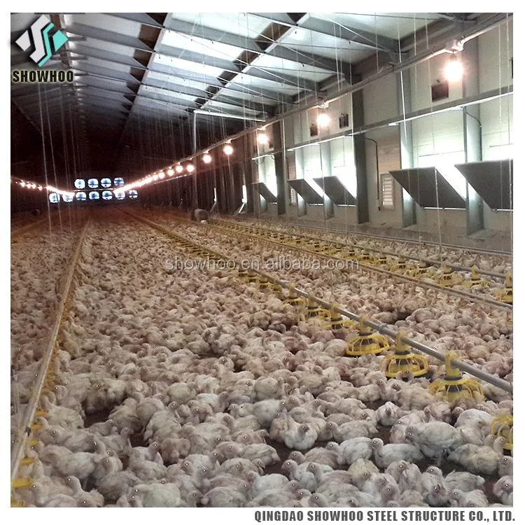 Cheap Industrial Broiler Chicken Poultry Farm Shed Design Drawing ...