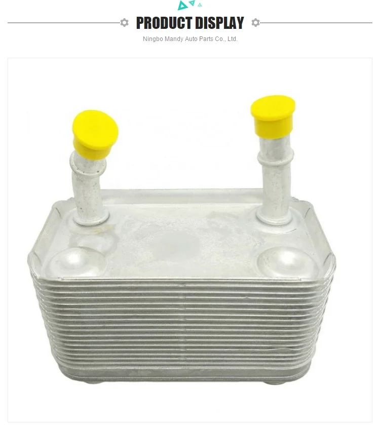 OE:17207500754 17101439112 for BMW X5 E53 3.0I 4.4I 4.6I China Auto ...