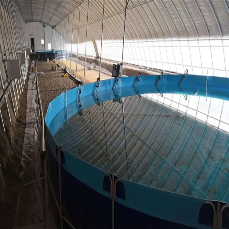 Plastic Container Tilapia Fish Tank For Aquaculture Fish Farming - Buy ...