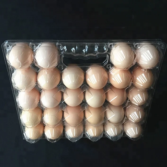 Customized High Quality 30 Holes Disposable Blister Pvc Plastic ...