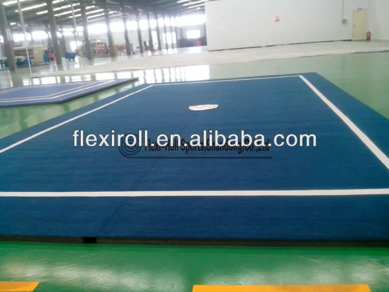 High Quality Dollamur Flexi Roll IWUF Approved Wushu Mat
