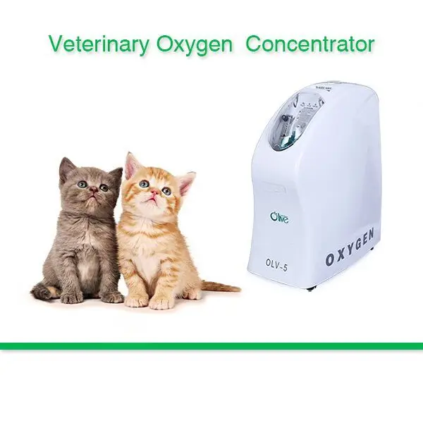 Olive Ce Approved Dog Oxygen Concentrator for Veterinary Use