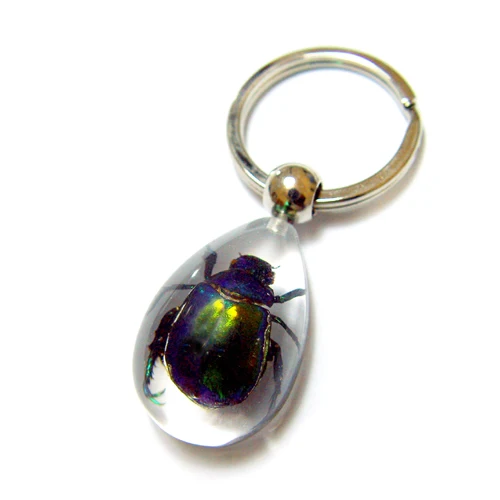 Cool Real Insects Scorpion Resin Specimen Keychain Keyring Custom Make ...