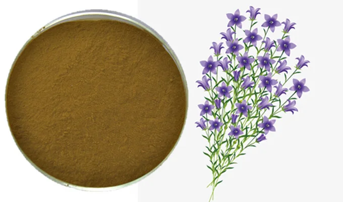 10% 98% Lithospermum Erythrorhizon Extract / Gromwell Root Extract ...