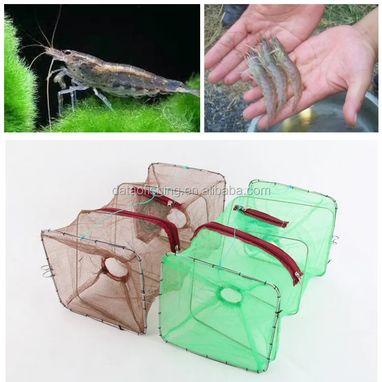 Portable Freshwater Eel Fish Trap - Buy Eel Fish Trap,Eel Traps,Fishing ...