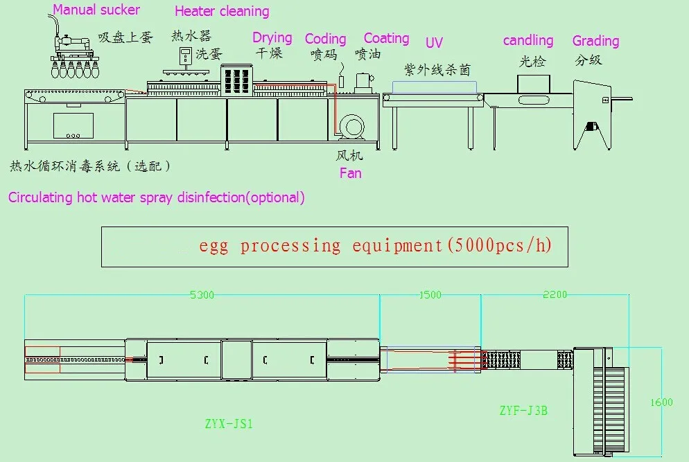 Automatic Egg Grading Grader Egg Sorting Machine Chicken Egg Sorter