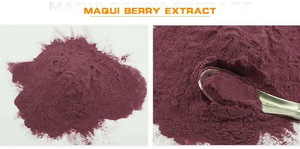 Health Supplement Maqui Berry Extract Powder - Buy Bulk Maquiberry ...