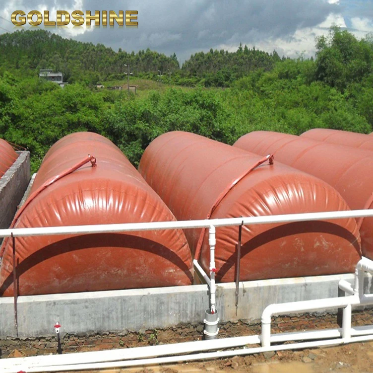 Flexible Plant Bag Pvc Plastic Biogas Digester - Buy Biogas Digester ...