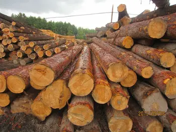 Red Pine Log - Buy Red Pine Log Product on Alibaba.com