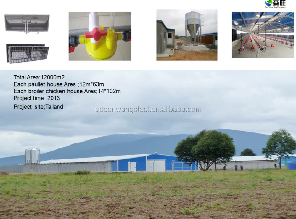 Flat Pack Open Side Poultry Shed Chicken House In Pakistan - Buy Flat ...