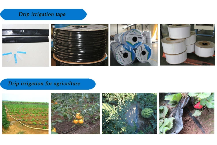Hdpe Inlaid Cylinder Flat Emitter Labyrinth Type Drip Irrigation Pipe ...