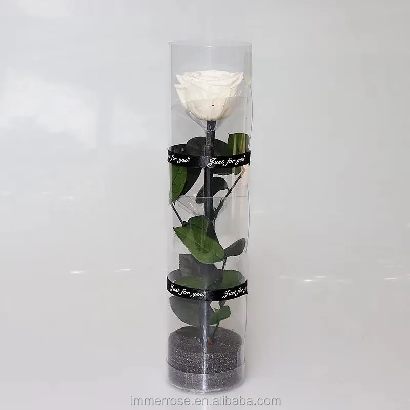Single Stem Roses Preserved Flower Preserved Natural Real Long Rose ...