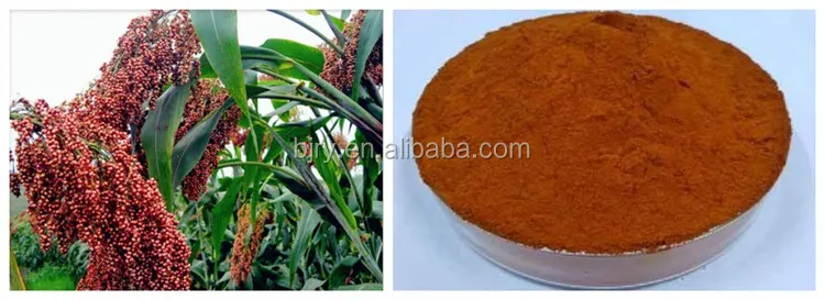 2019 New Batch Sorghum Extract Powder,Sorghum Bran Extract By Fast ...