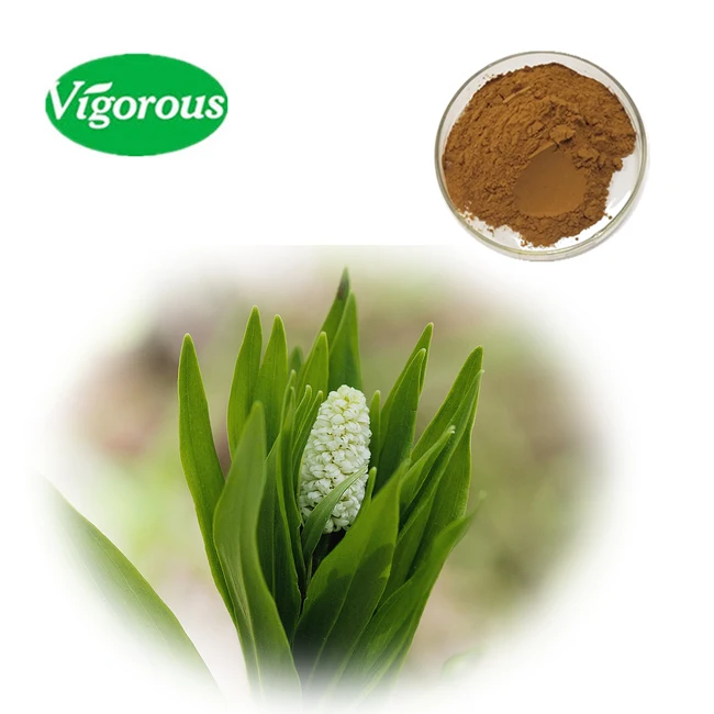 High Quality 10:1 False Unicorn Root Powder - Chamaelirium Luteum Herb ...
