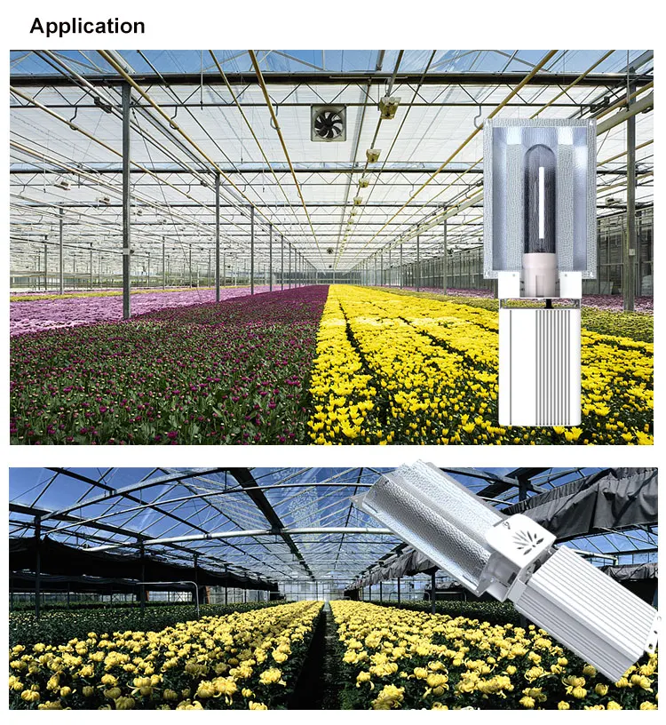 Hydroponic 1000w Hps Lamp For The Horticulture Indoor Farming Grow Lamp ...