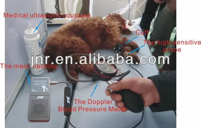Doppler Blood Pressure Monitor for Animal - Veterinary Instrument