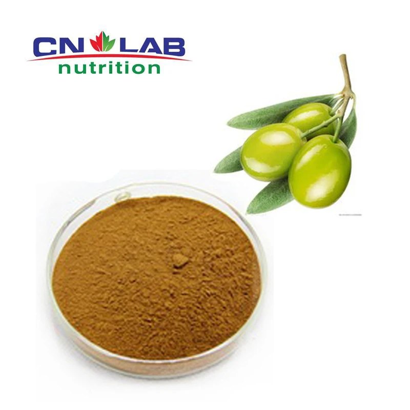 100% Natural 20%-40% Oleuropein,Olive Leaf Extract - Buy High Quality ...
