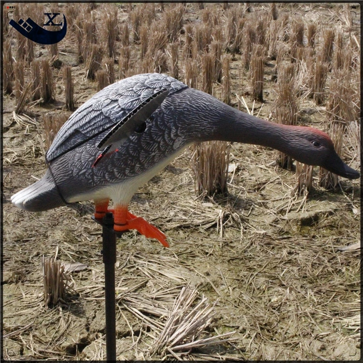 Plastic Gadwall Motion Dummy Duck Decoy Hunting Device - Buy Plastic ...