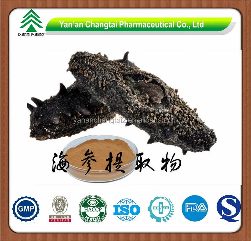 Gmp Factory Supply Herb Sea Cucumber Extract Powder Holothurin - Buy ...