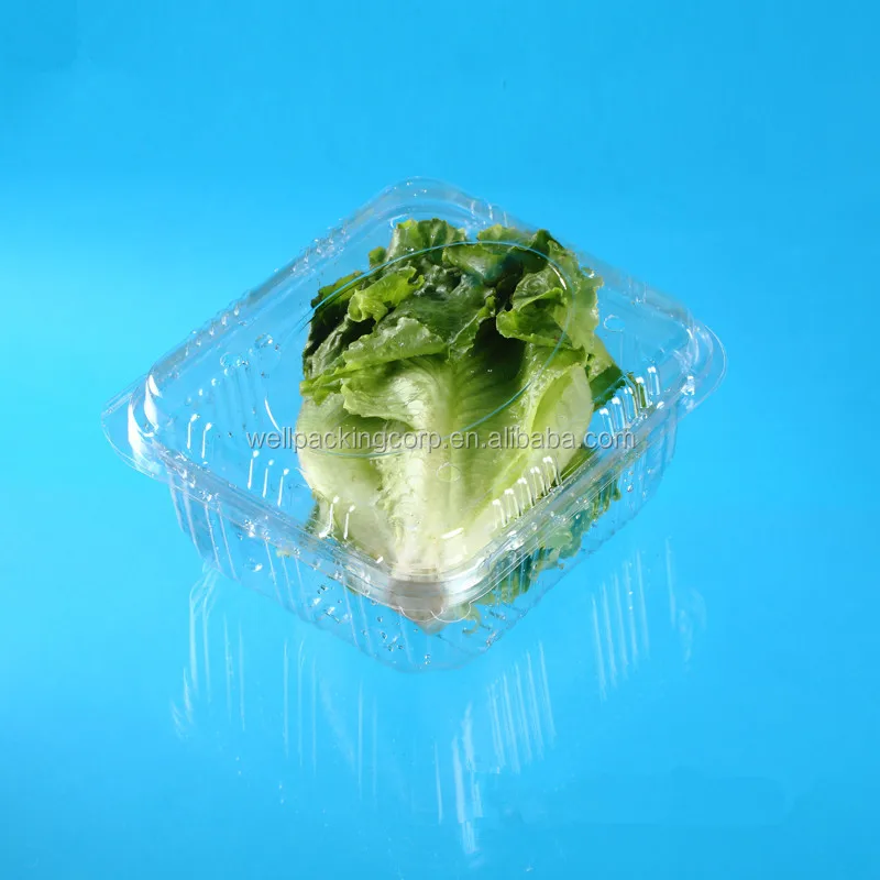 Disposable Plastic Vegetable Packaging Box For Mushroom Potato - Buy ...