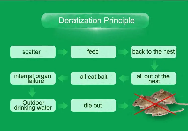 Rodenticide Coumatetralyl Bait Raticide Rat Poison - Buy Raticide ...