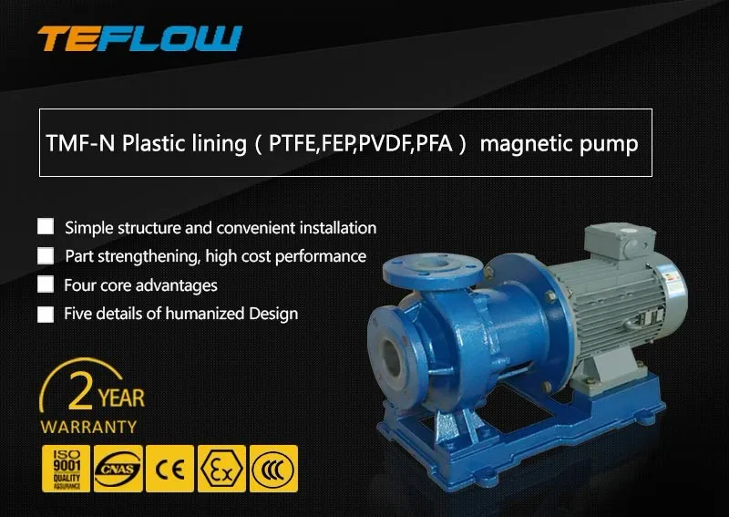 TEFLOW Magnetic Drive Pumps - Reliable Chemical Solutions