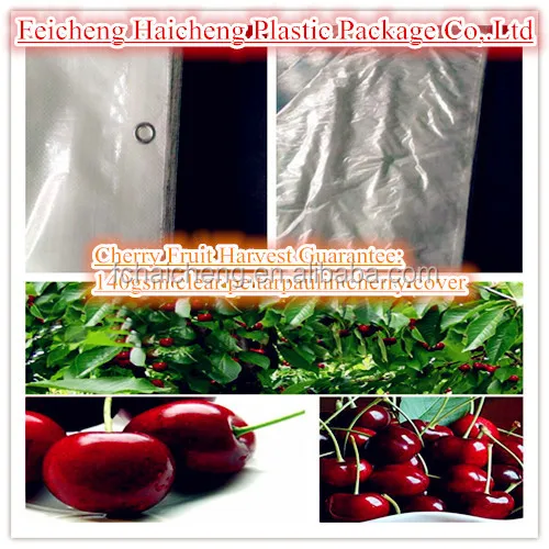 Cherry Tree Cover,Orchard Cover - Buy Cherry Protection Cover ...