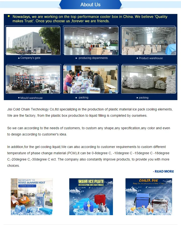 Custom Safe Msds Approve Reusable Ice Packs Cold Pack For Food - Buy ...