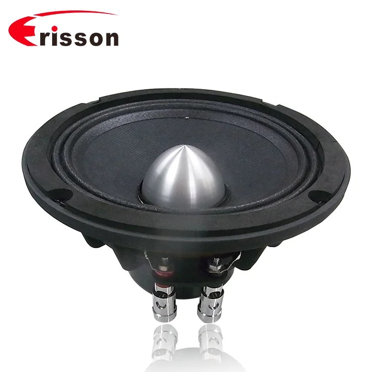 Oem Neodymium Speaker 6.5 Inch Mid-bass Driver - Buy Mid-bass Speaker ...