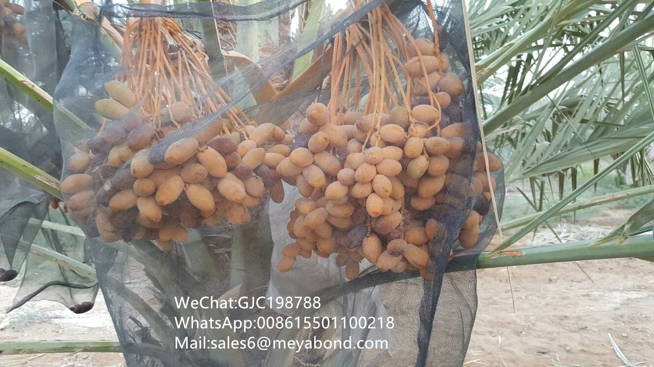 Anti Insect Netting /nursery Fruit Tree Net/citrus Tree Net Cover - Buy ...
